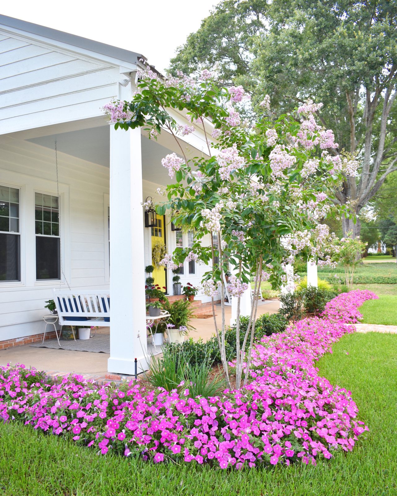 Creating a Colorful, Cottage Landscape Border - Simply Southern Cottage