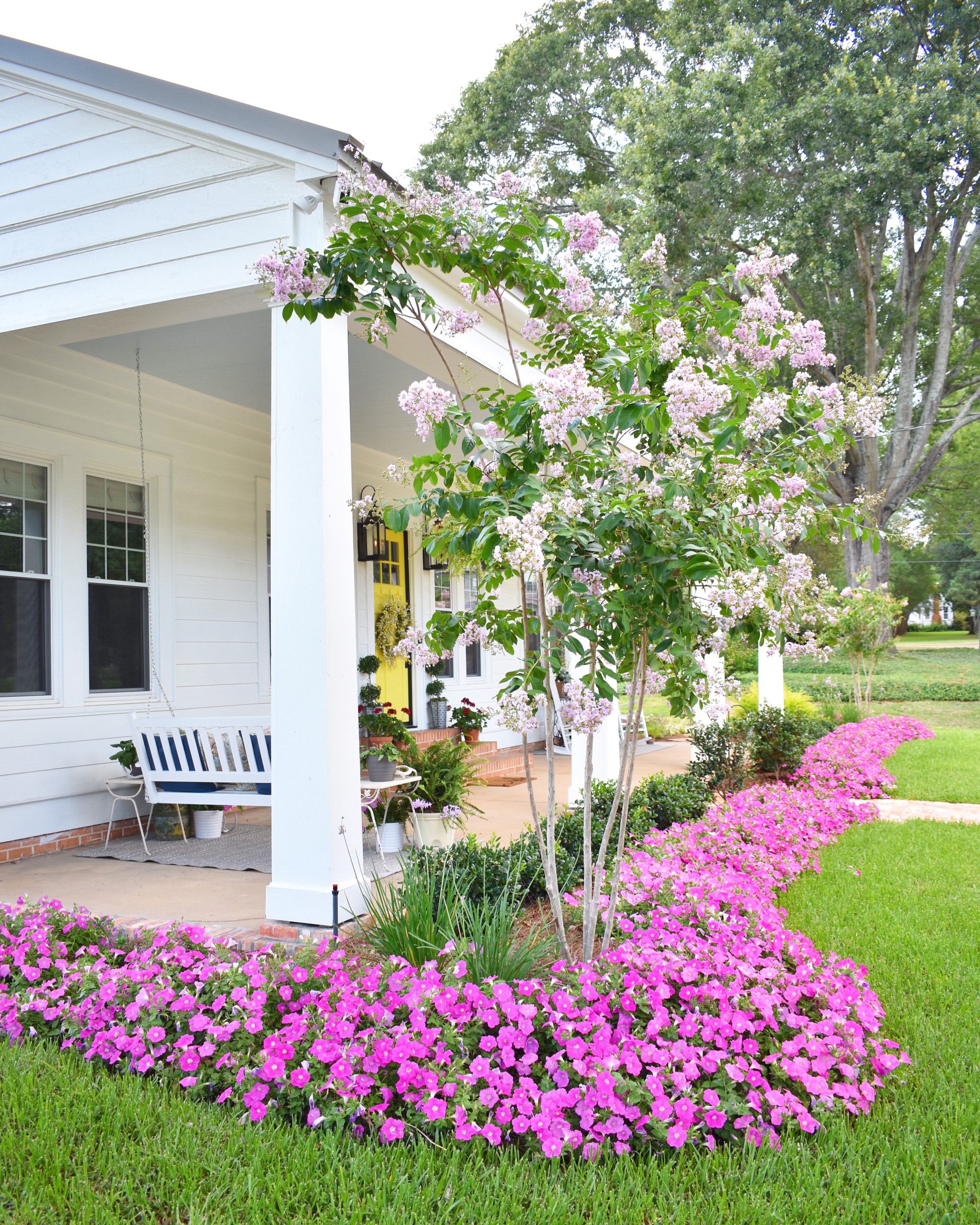 Creating a Colorful, Cottage Landscape Border - Simply Southern Cottage