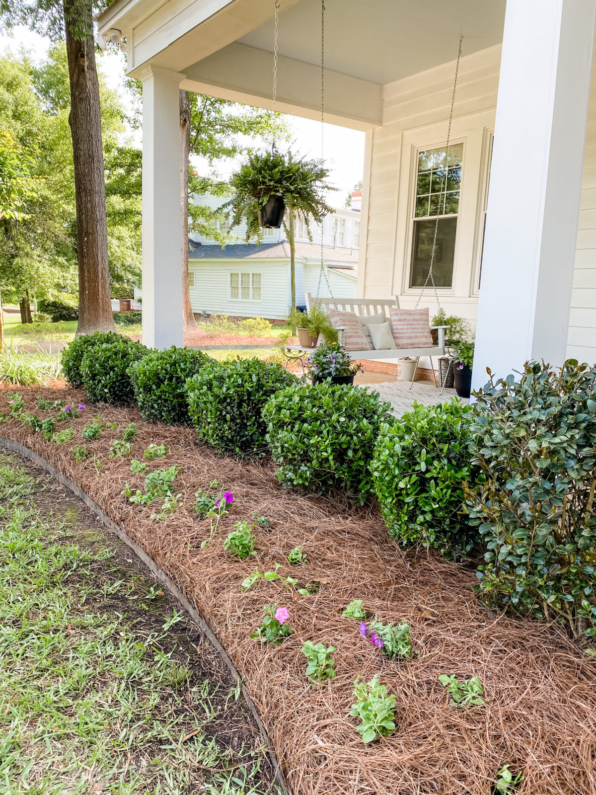 Creating a Colorful, Cottage Landscape Border - Simply Southern Cottage