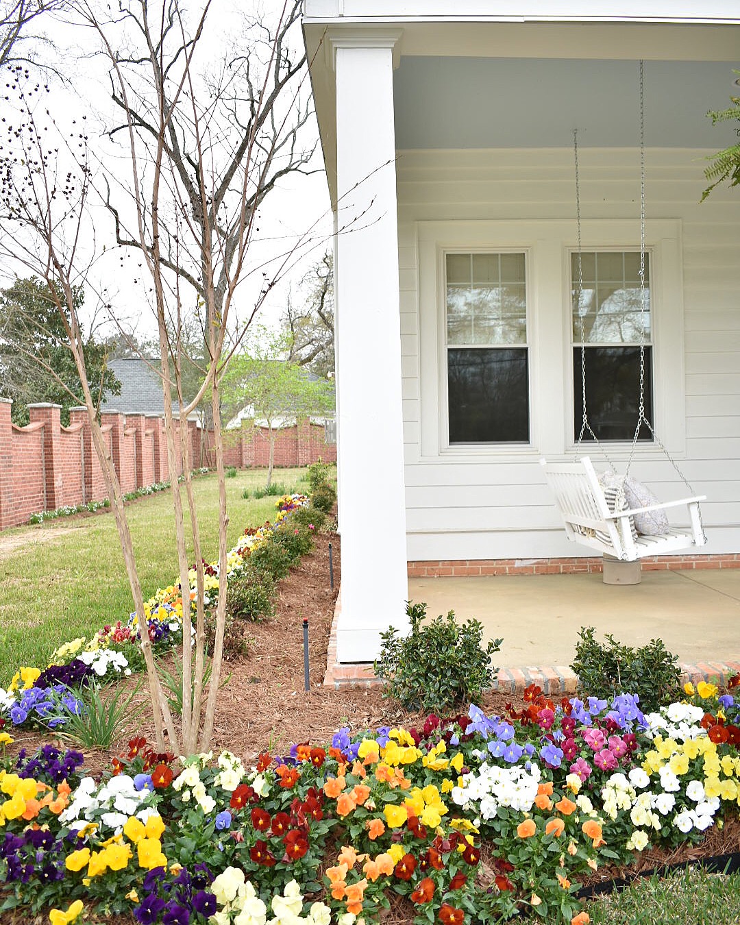 Creating a Colorful, Cottage Landscape Border - Simply Southern Cottage
