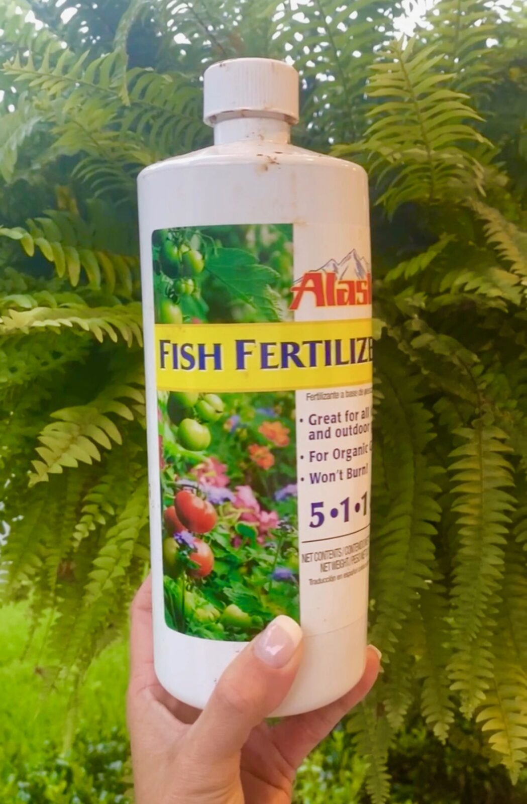 The Benefits of Fish Fertilizer: My Secret Sauce for Getting Gorgeous ...