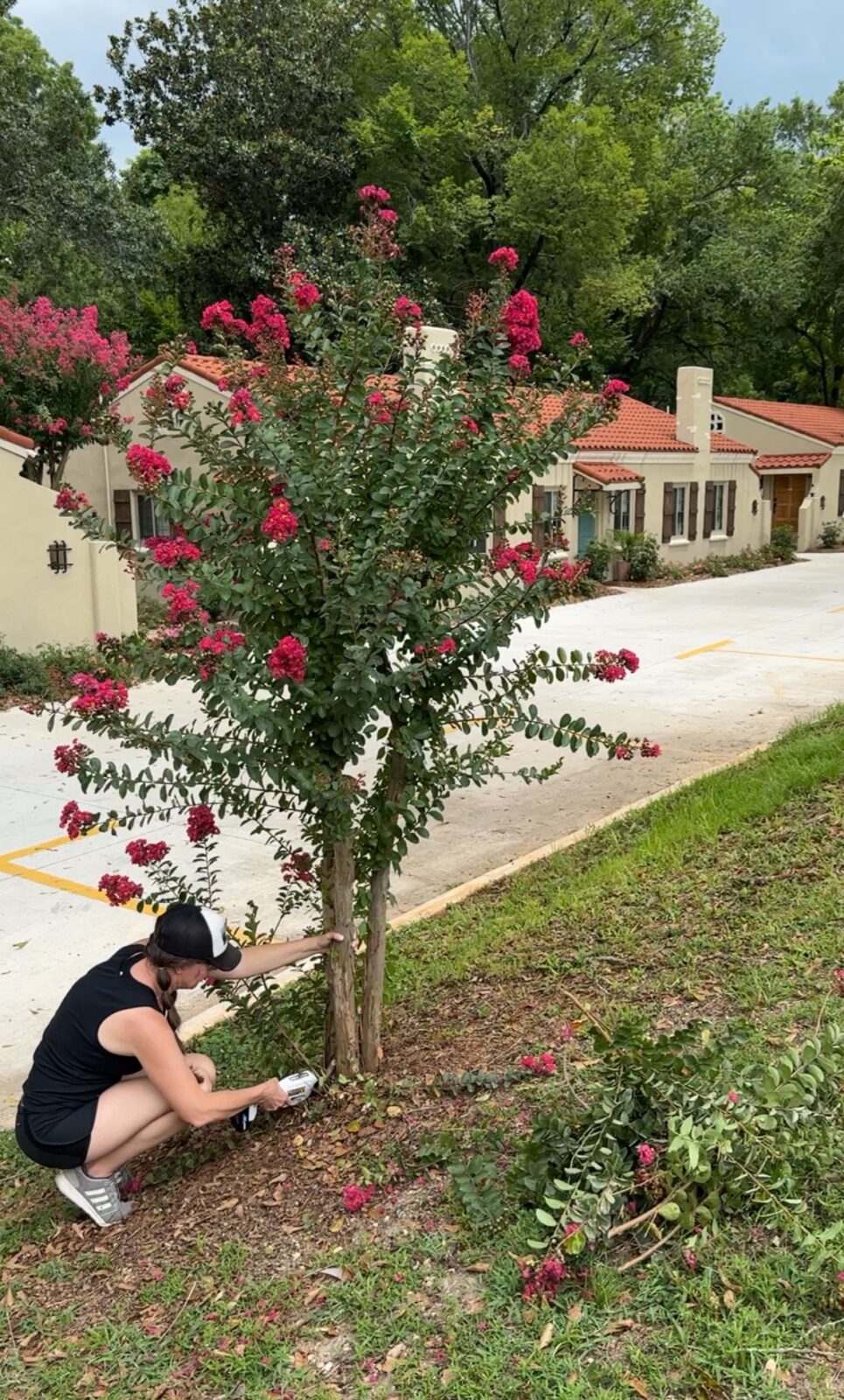 4 Simple Steps to Get Your Lawn Ready for Spring - Simply Southern Cottage